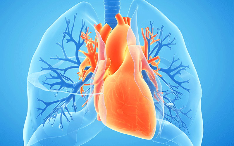 Radiological Society of North America | RSNA