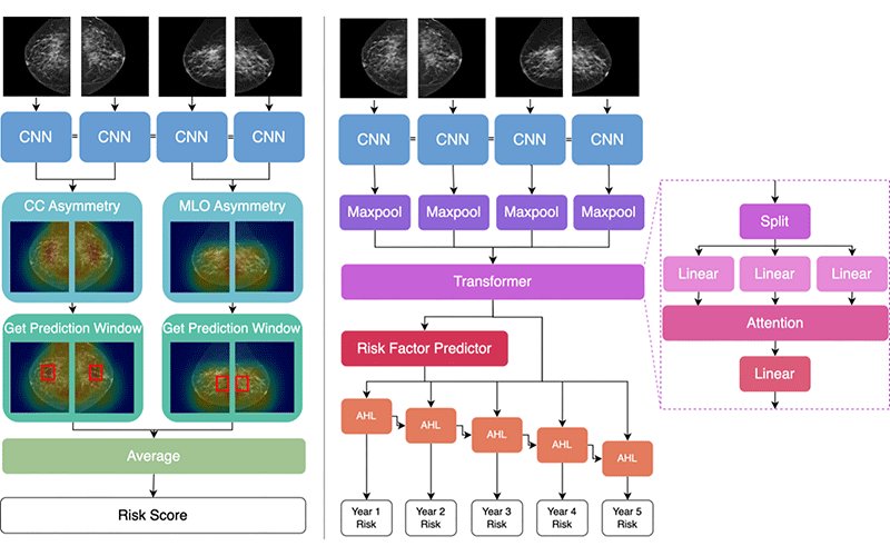 Researchers Develop Deep Learning Model to Predict Breast Cancer | RSNA